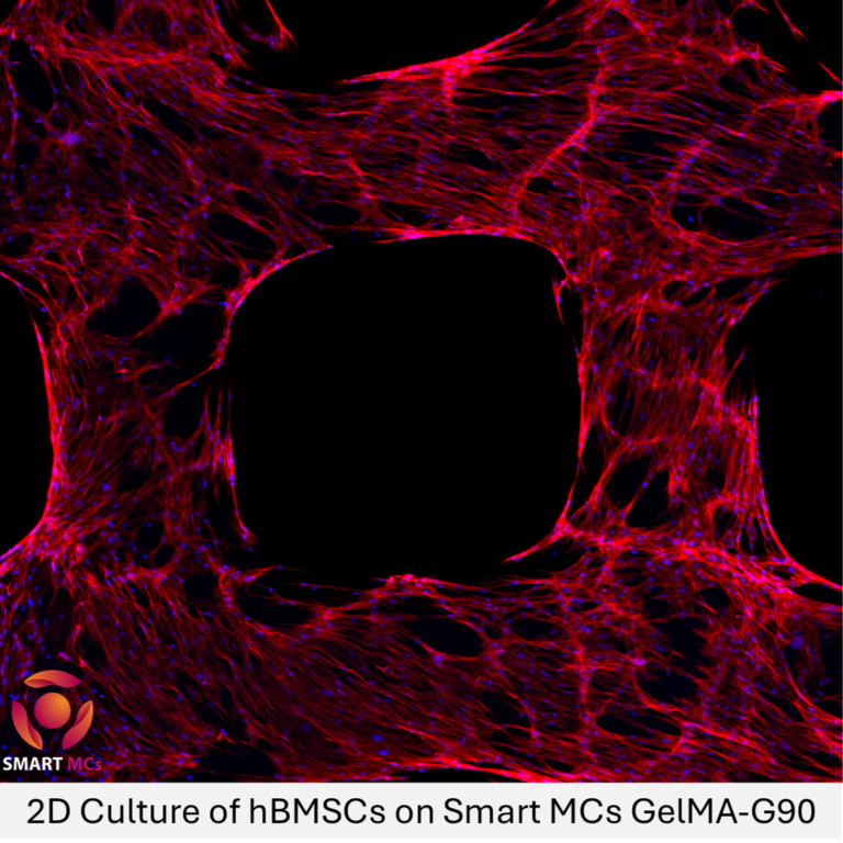 Products – Smart Biomaterials & µ-Solutions- Smart MCs