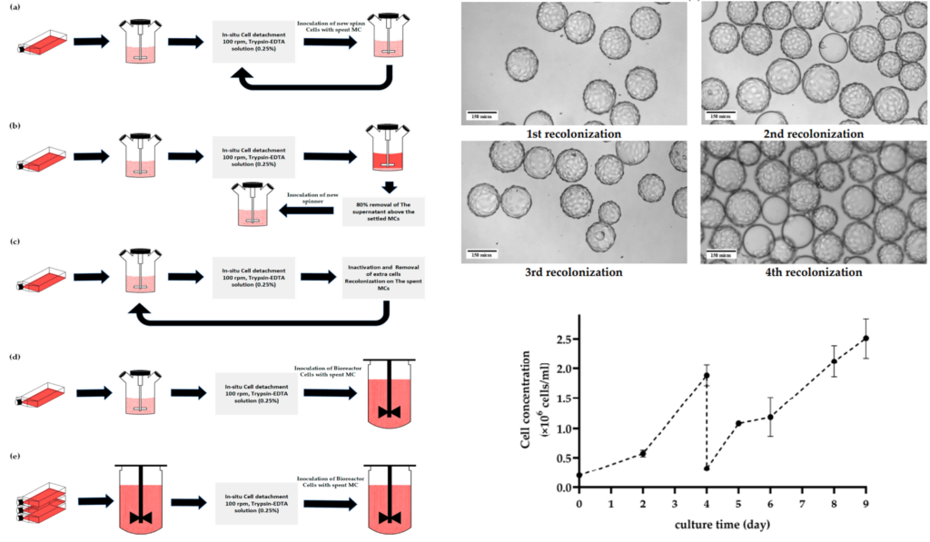 Revolutionising Vaccine Manufacturing: Insights from a Study on ...