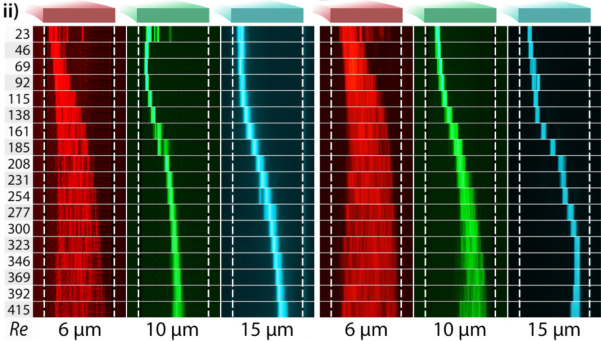 Micron-Particle Sorting - Smart Biomaterials & µ-Solutions- Smart MCs
