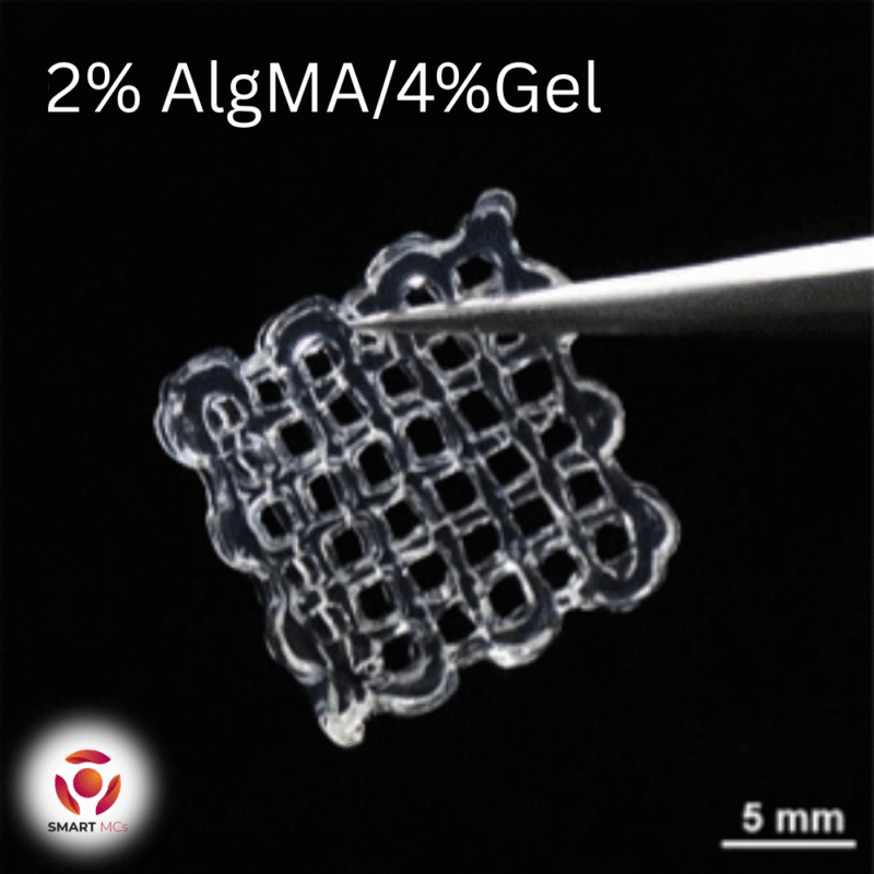 Alginate Methacryloyl (AlgMA) Hydrogel – Smart Biomaterials & µ ...
