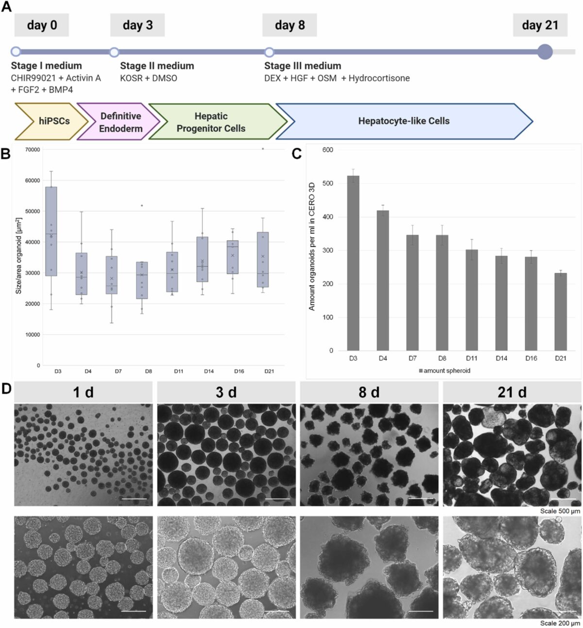 Scalable Expansion of iPSCs Technology Using Microcarrier Cultures ...
