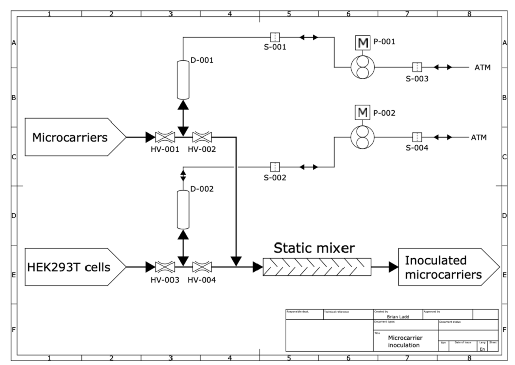 Advancing Gene Therapy: Enhancing AAV Vector Production with ...