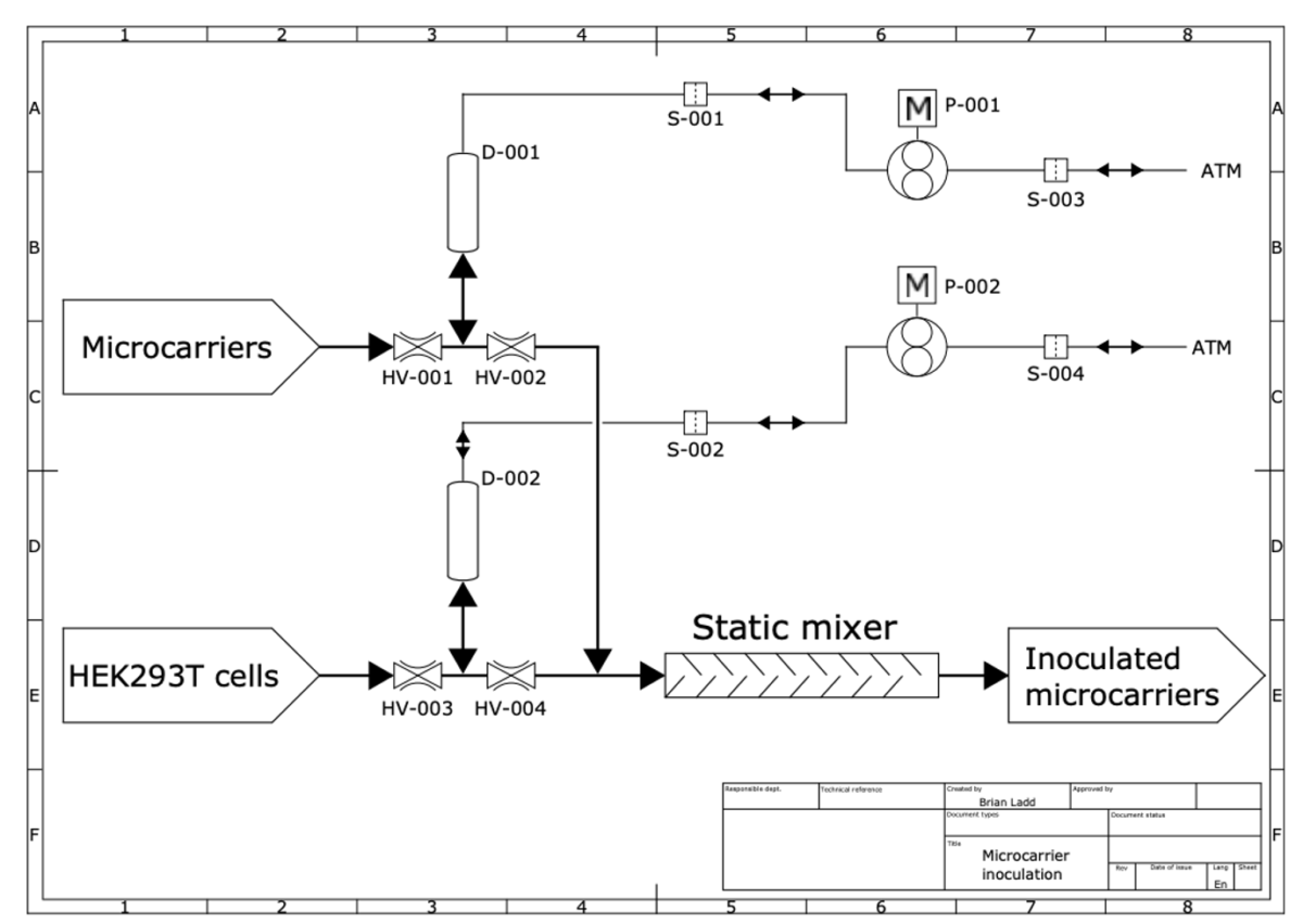 Advancing Gene Therapy: Enhancing AAV Vector Production with ...